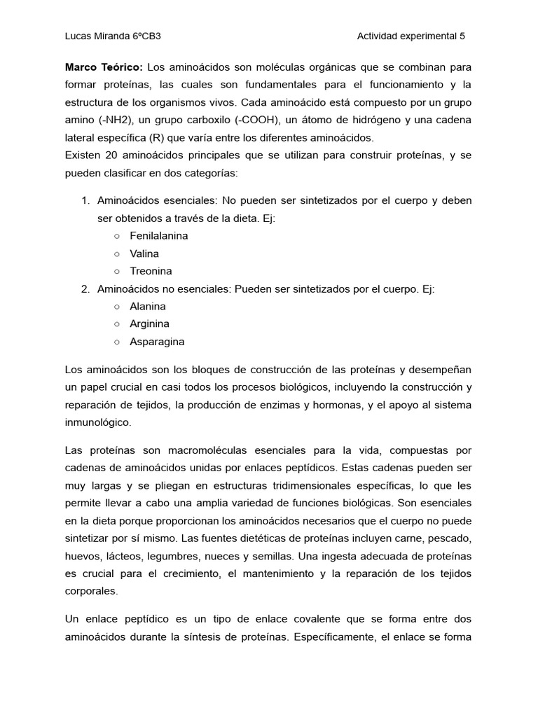 Marco Teórico_ Los aminoácidos son moléculas orgánicas que se combinan para formar proteínas ...