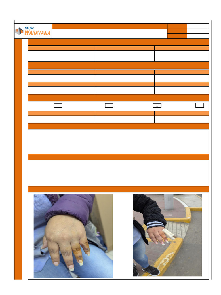 Flash Report | PDF