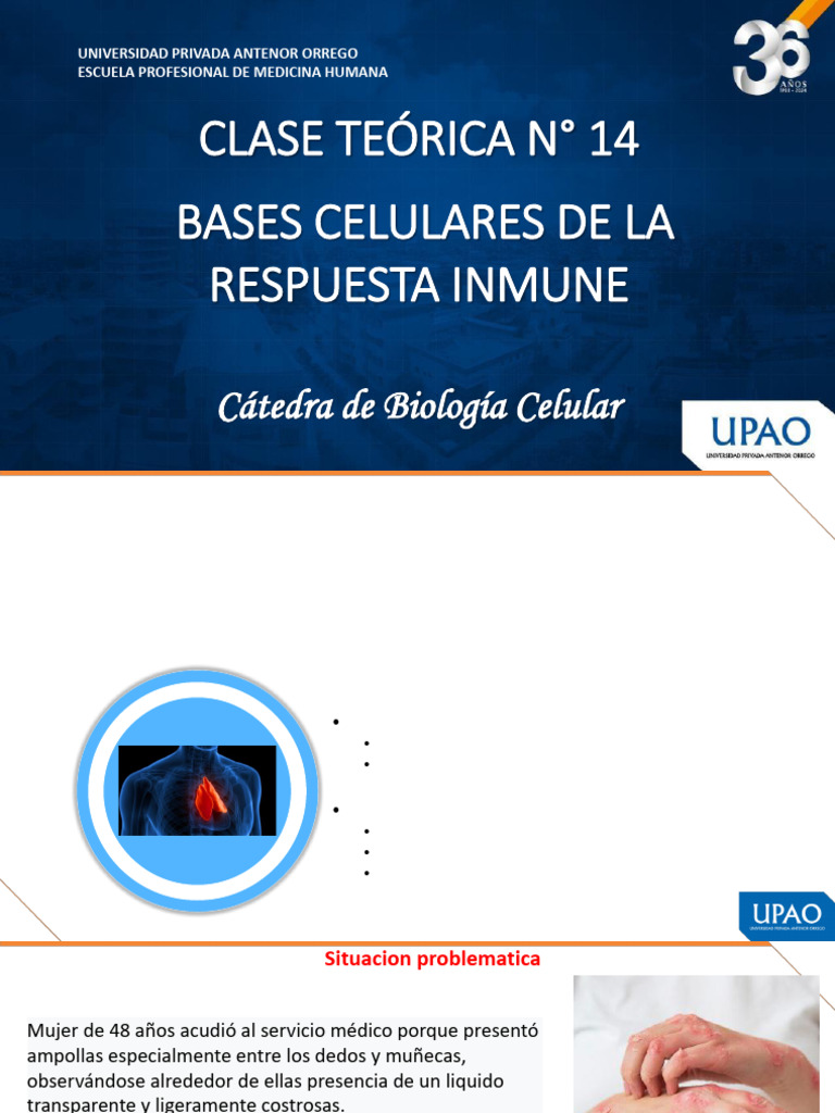 Sem15 Respuesta Inmune | PDF | Sistema inmune | Sistema inmune innato