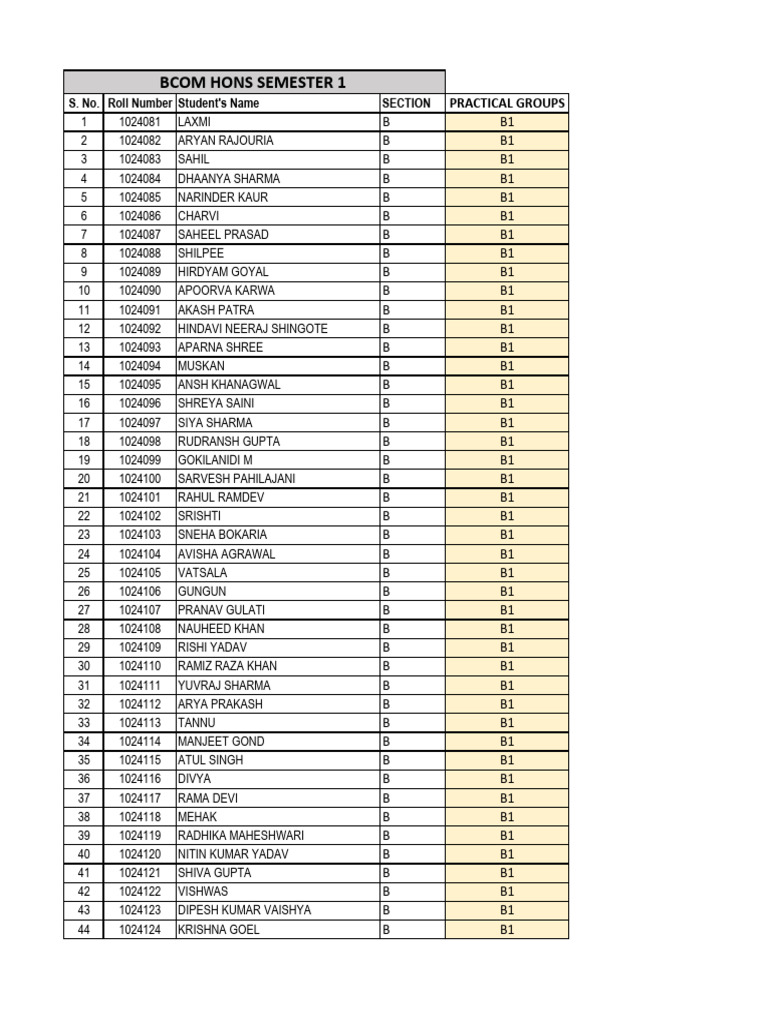 BCom Hons. & Prog I Year 2024-2025 PRAC groups | PDF