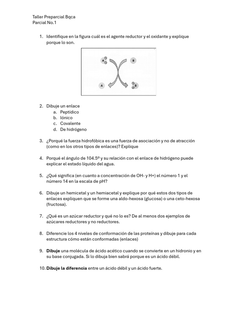 Taller Preparcial Bqca | PDF | Enzima | Ácido