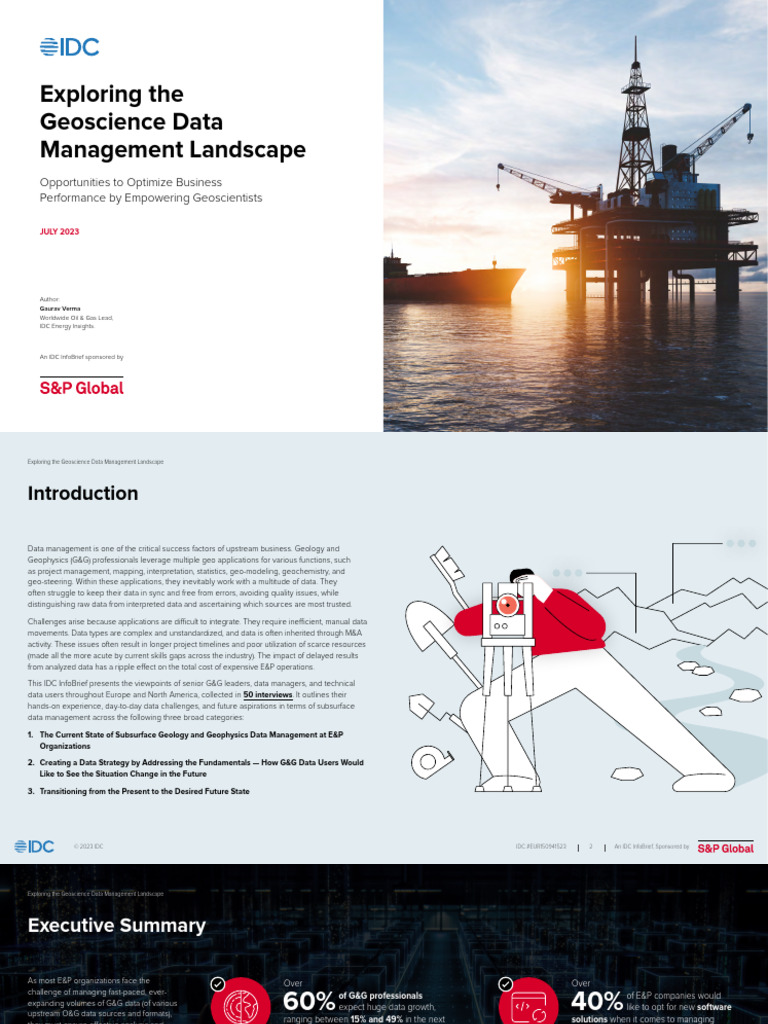 Exploring The Geoscience Data Management Landscape | PDF | Data | Application Software