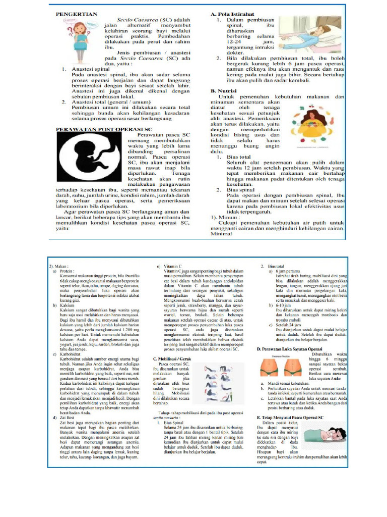 leaflet post sesar | PDF