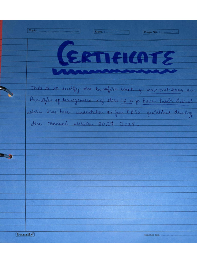 Bst Project File | PDF