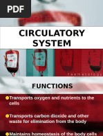 Human vs Fish Circulatory Systems | PDF | Circulatory System | Heart