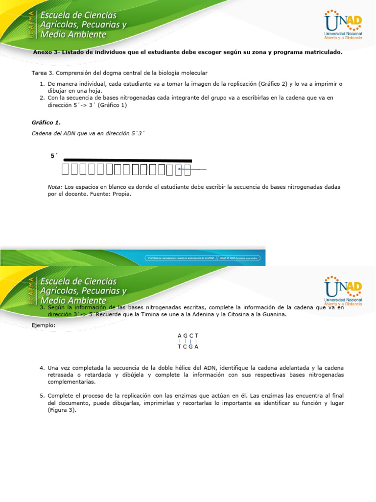 Anexo 2 - Replicación Del ADN-2 | PDF