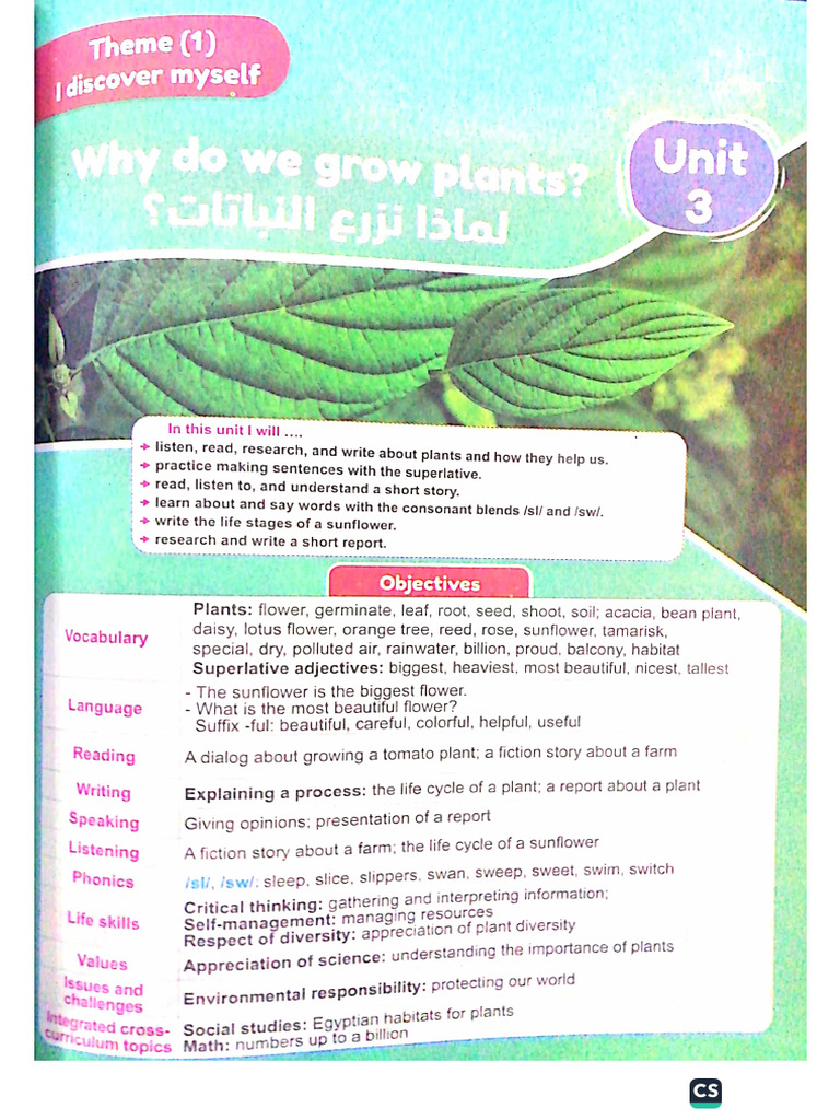 Gr 4 Connect Unit 3 2024-2 | PDF