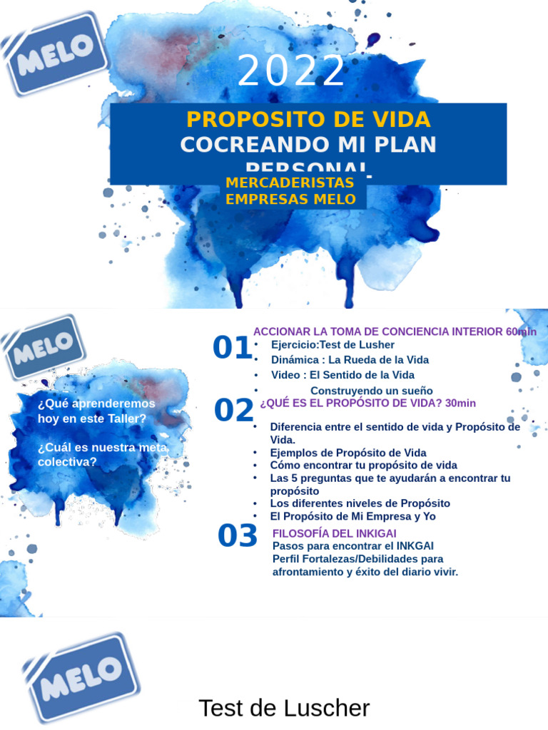 Encontrando tu Propósito de Vida | PDF