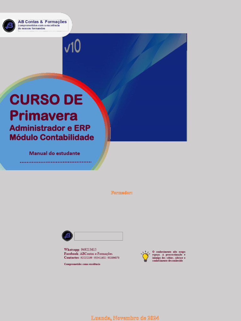 Manual Primavera Contabilidade (ORG) - 1 | PDF | Imposto sobre Valor ...