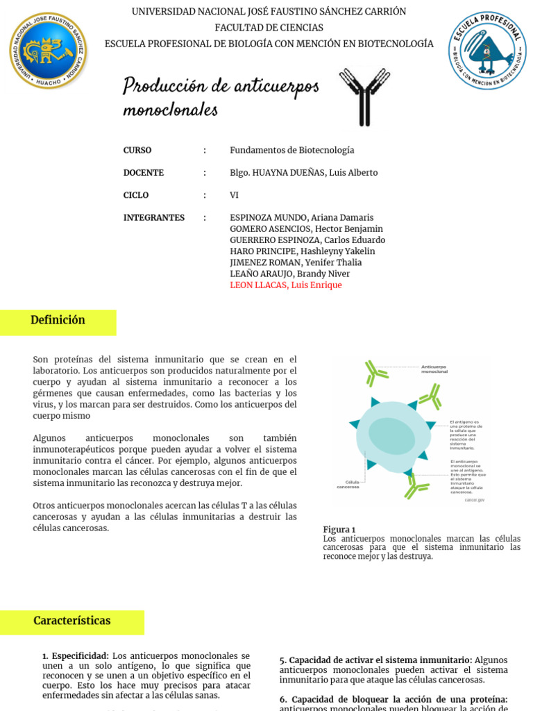 Producción de Anticuerpos Monoclonales | PDF | Anticuerpo Monoclonal | Técnicas de laboratorio.