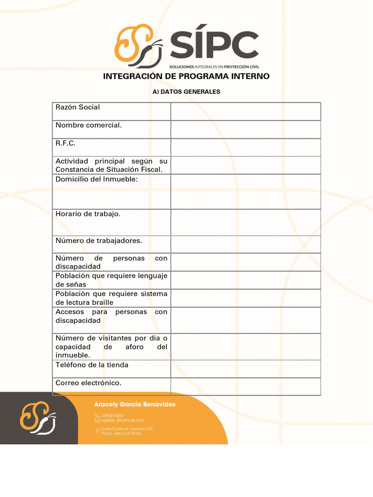 Formato para Llenado Sipc | PDF