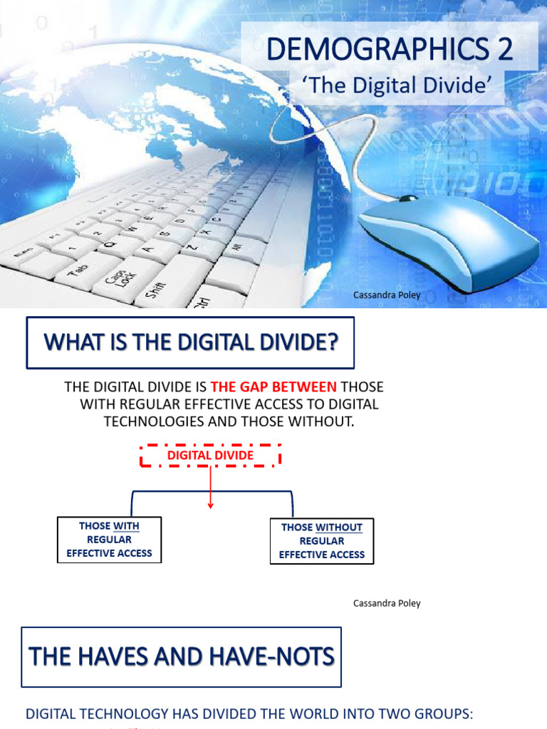 GNED 190 Lesson 4 - Demographics Digital Divide | PDF