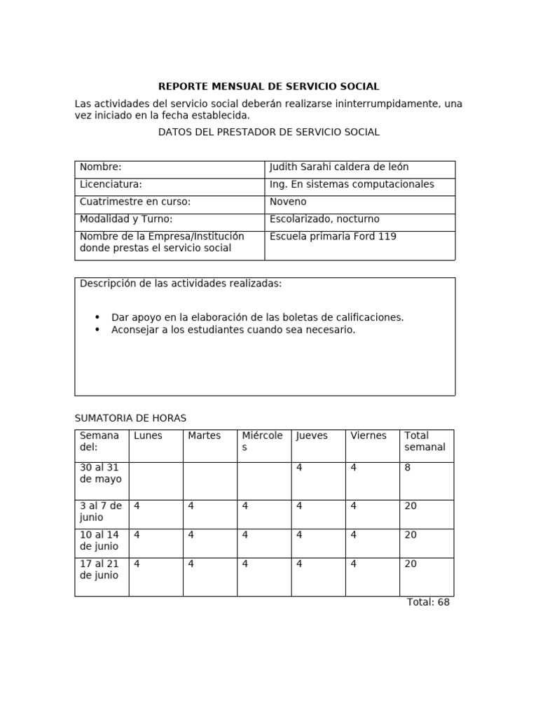 Reporte mensual SS | PDF