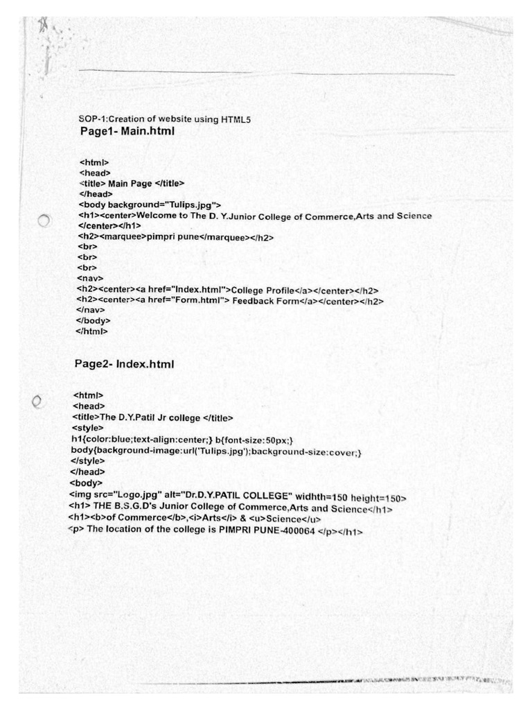 IT Practical Printouts | PDF
