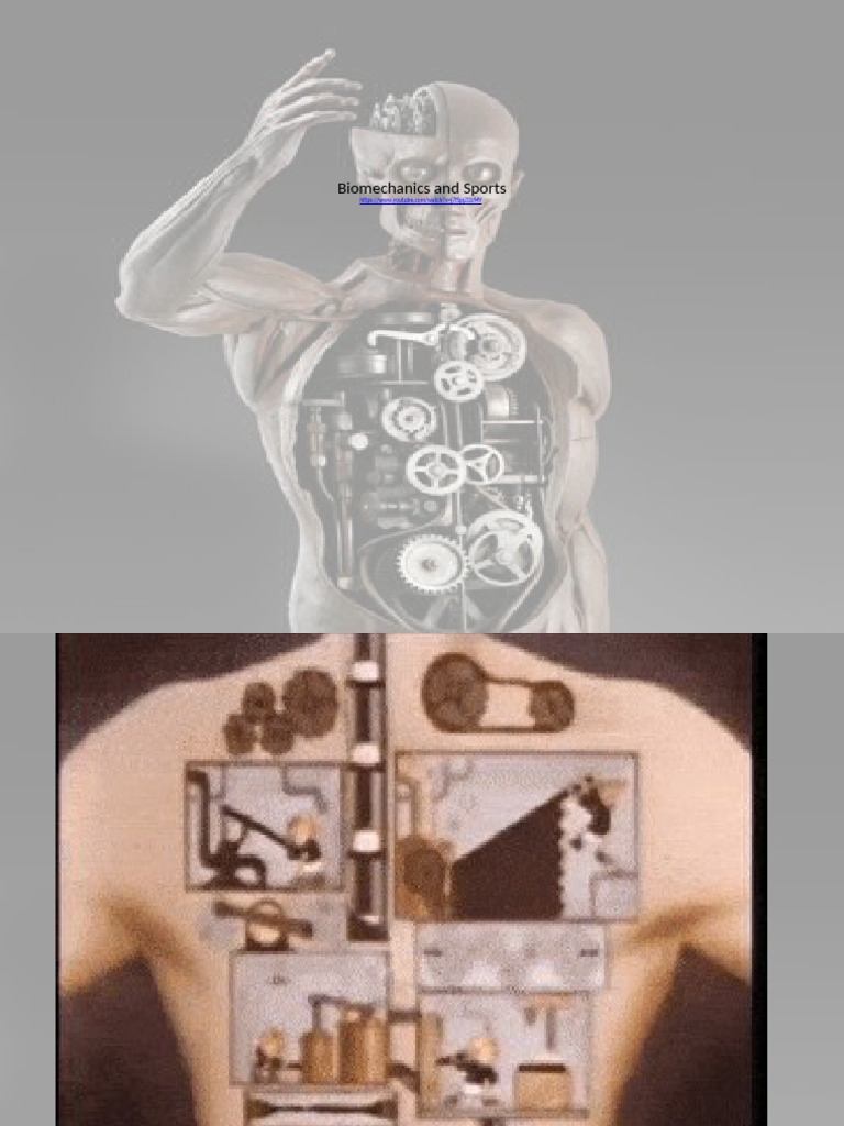 Understanding Biomechanics in Sports | PDF | Anatomical Terms Of Motion ...