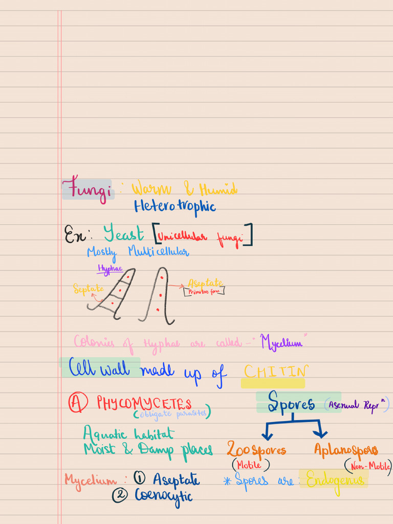Biological Classification | PDF