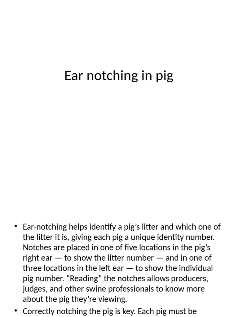 Ear notching in pig | PDF