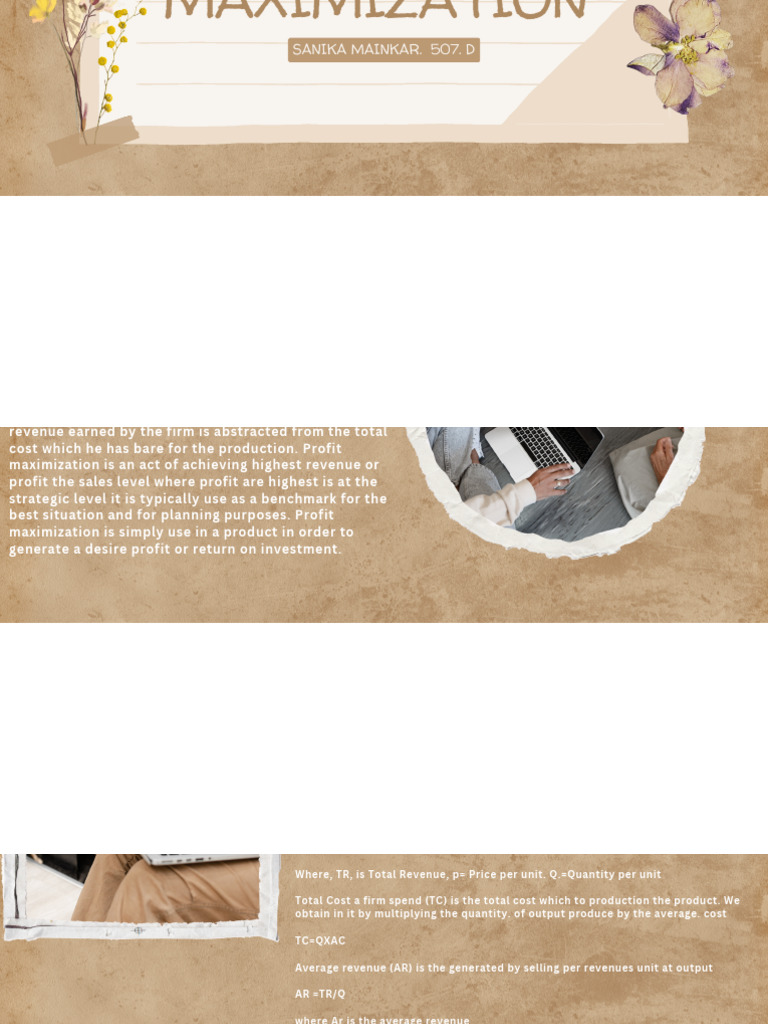 Profit Maximization (Sanika Mainkar 507) | PDF