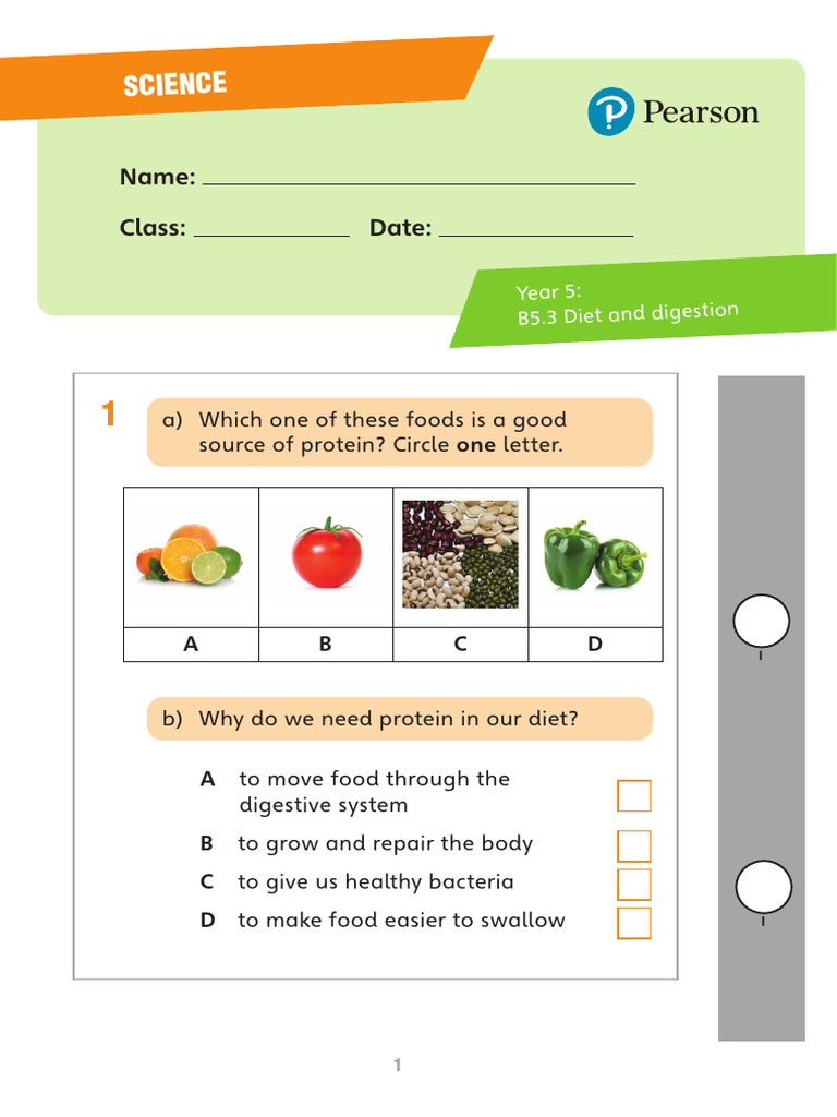 Homework - Diet Digestion4p3Mz | PDF | Foods | Digestion