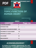 IV Cannulation Checklist | PDF | Intravenous Therapy | Vein
