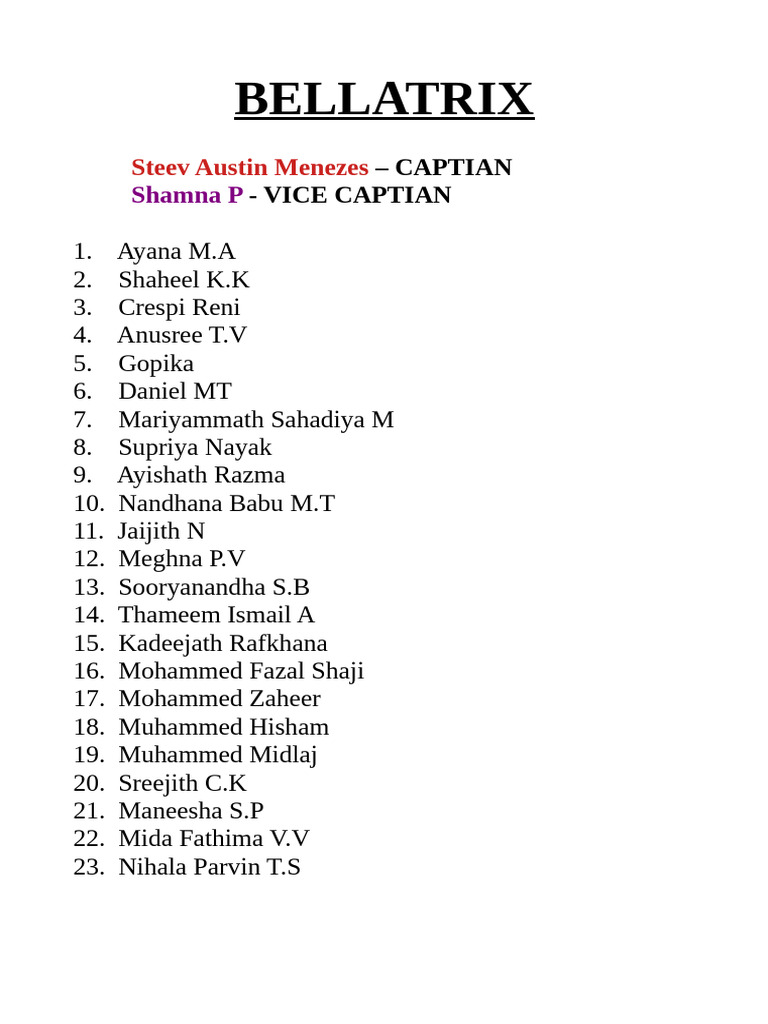 Bellatrix Team 2 | PDF