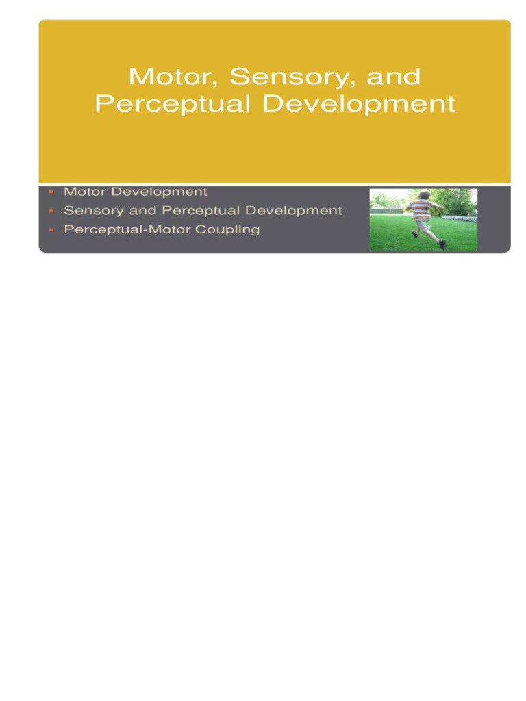 Motor Development | PDF | Perception | Cognitive Science