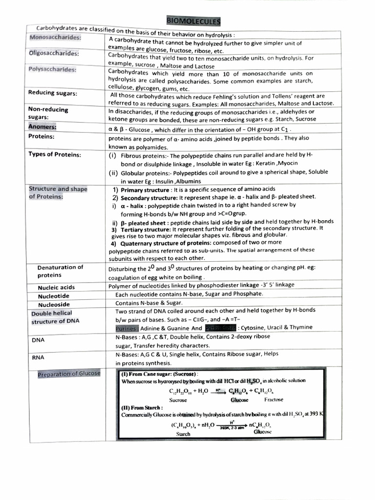 Biomolecules - Short notes | PDF | Carbohydrates | Hydrolysis
