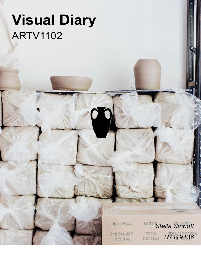 Visual Diary | PDF
