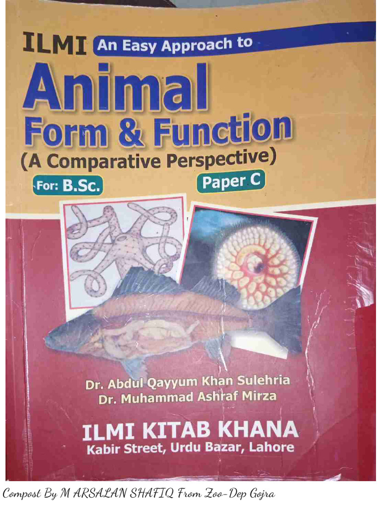 Animal Form and Function Overview | PDF