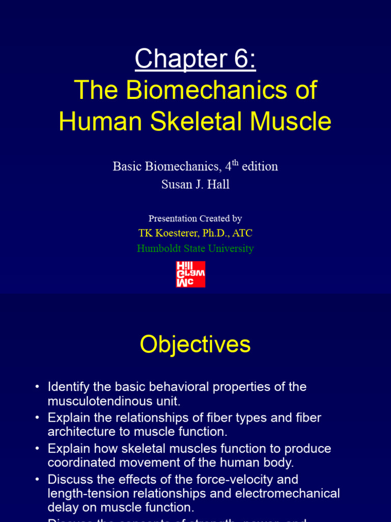 Biomechanics of Human Skeletal Muscle | PDF | Muscle Contraction ...