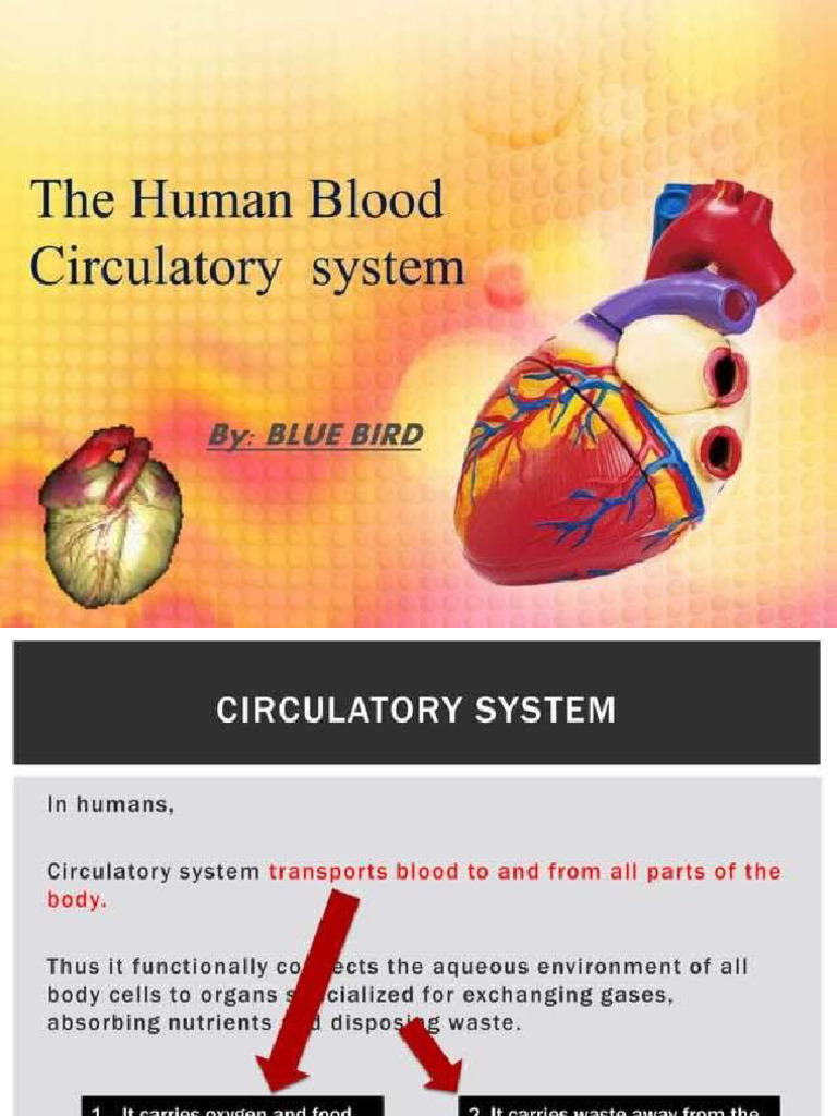 circulatory system-cp2-TIPS | PDF