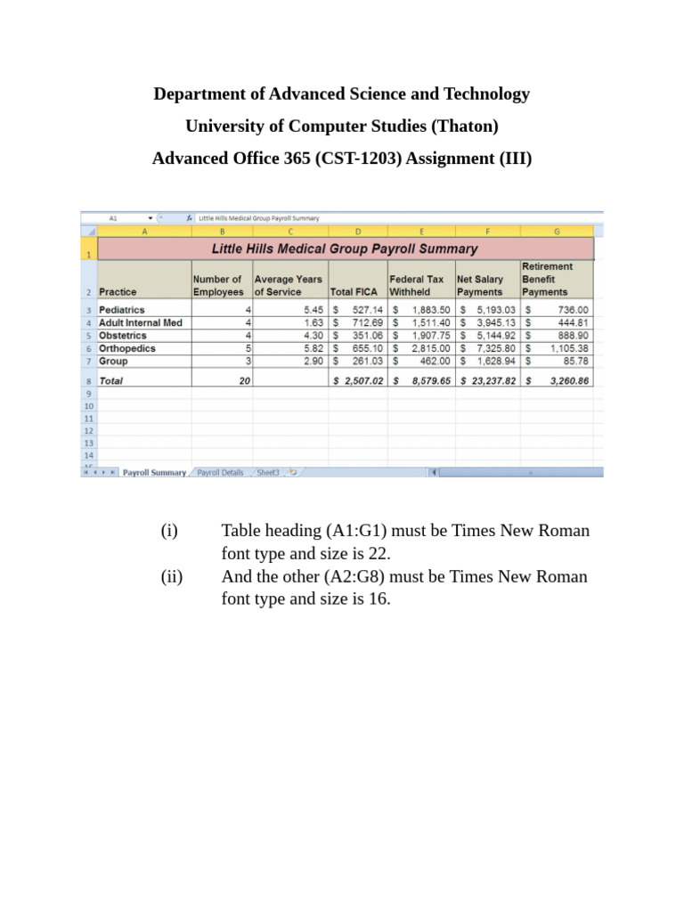Assignment (IV) Excel Question | PDF
