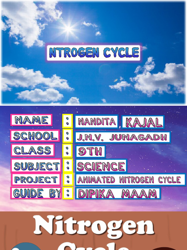 Animated Nitrogen Cycle | PDF