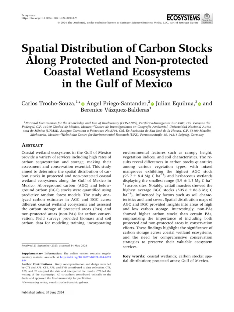 2024 - 06 - Stock Carbono - Lagunadeterminos | PDF | Wetland | Errors ...