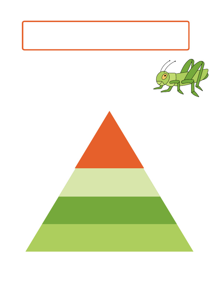 Trophic Level Pyramids Digital Science Worksheet in Green Orange Lined ...