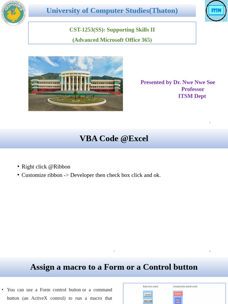 Macro And Form Pdf Visual Basic For Applications Button Computing