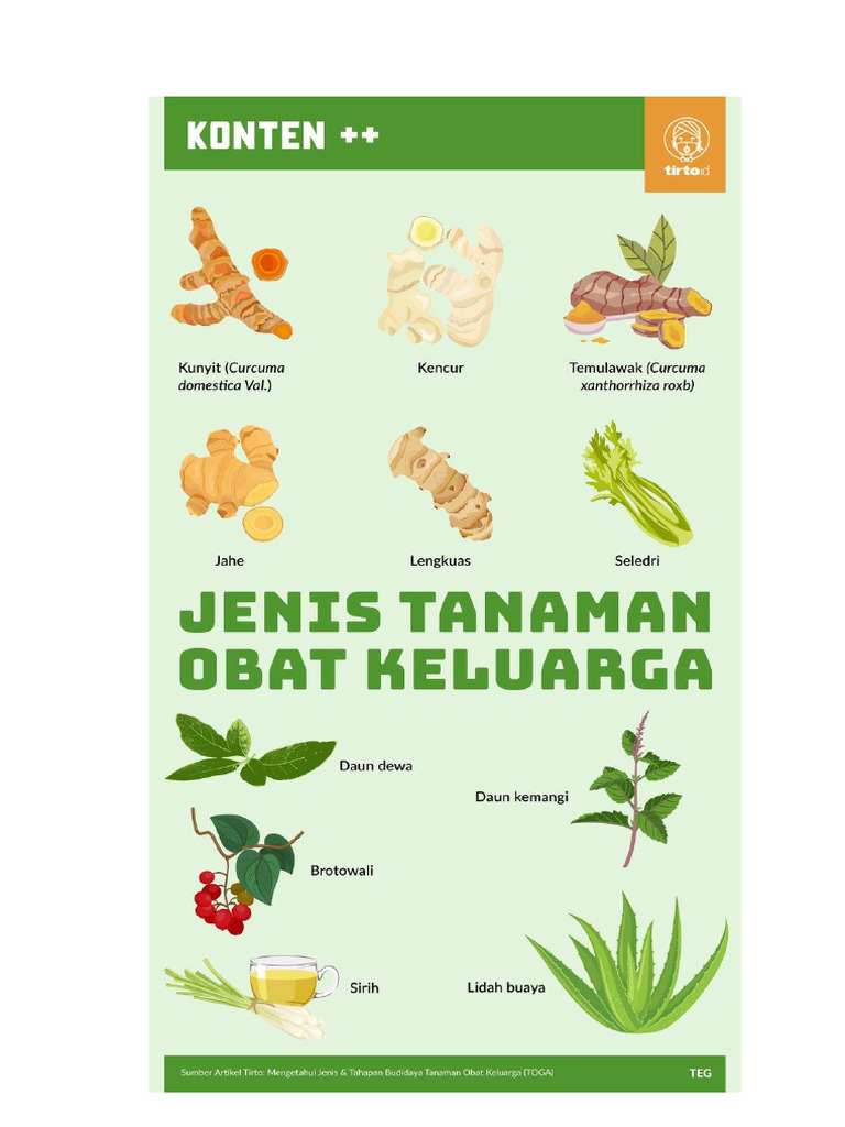 INFOGRAFIS TANAMAN OBAT | PDF