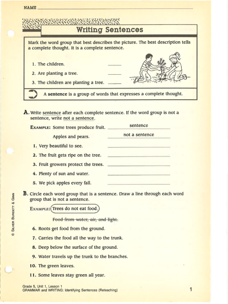 Grammar 1 | PDF