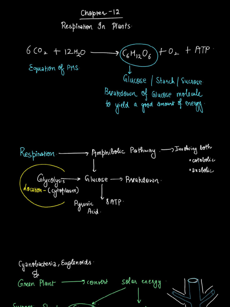 Respiration In Plants (Notes) | PDF