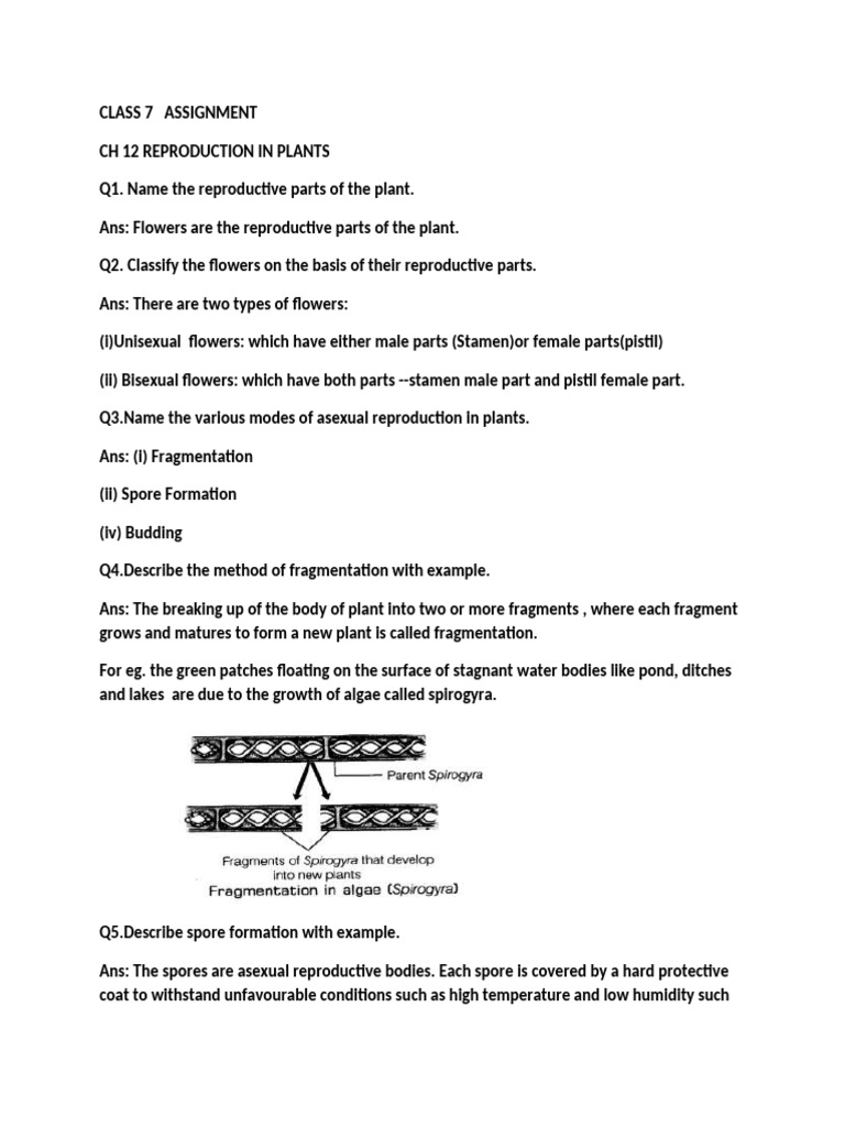 24-25 7th PRACTICE SHEET CH 12 REPRODUCTION IN PLANTS | PDF | Flowers | Seed