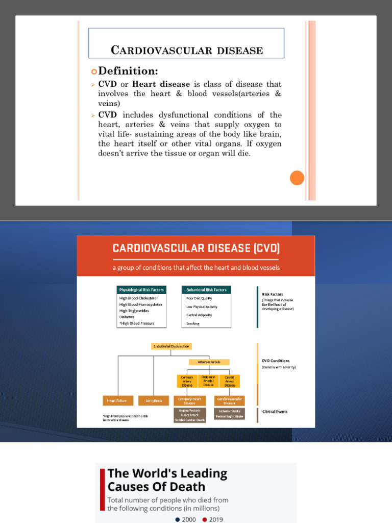 Pcc Part 1 Bangkok 2023 Pdf