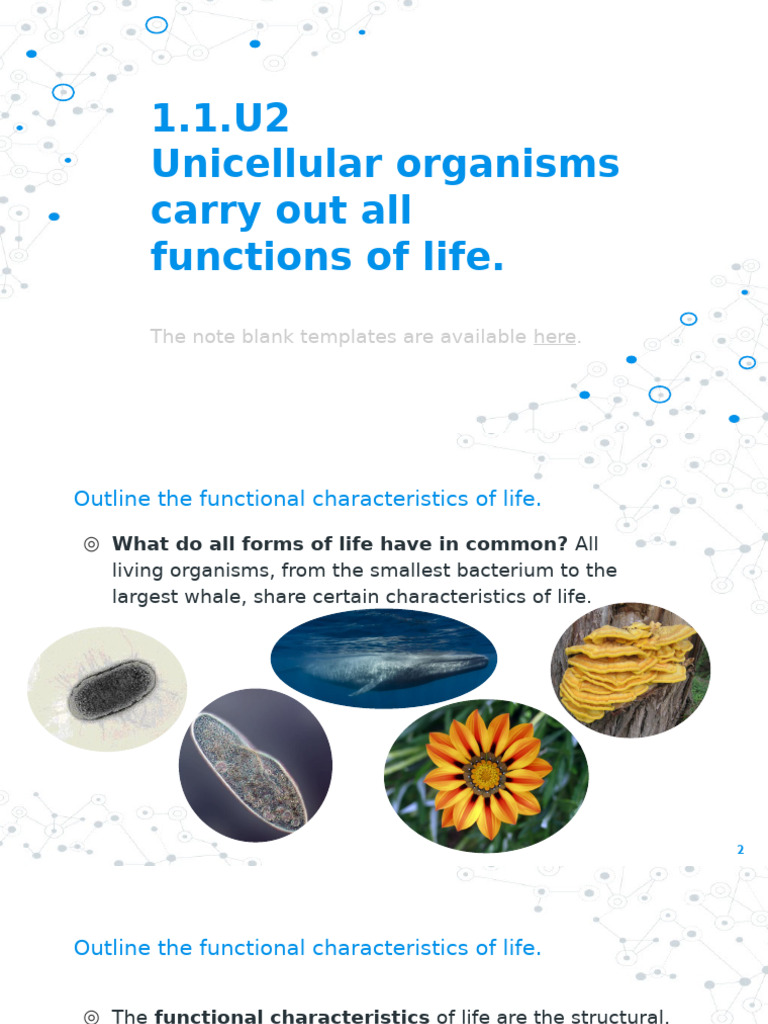 1.1.U2-cell biology | PDF | Reproduction | Cell (Biology)