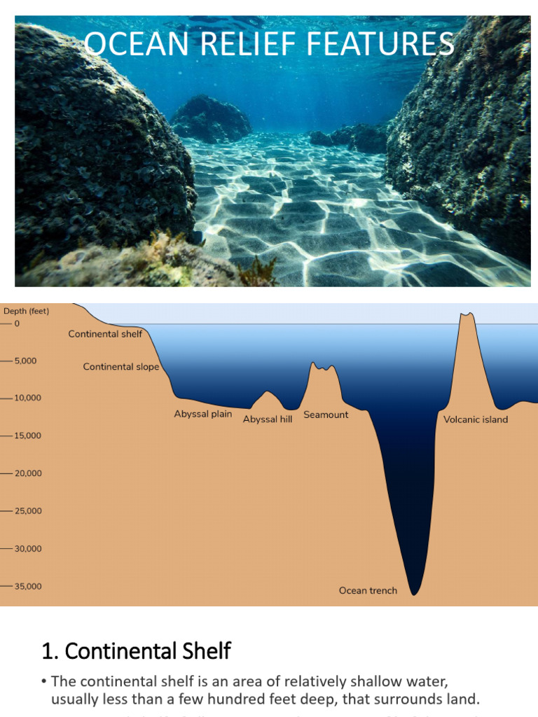 Oceanic Features Explained | PDF | Continental Shelf | Tide