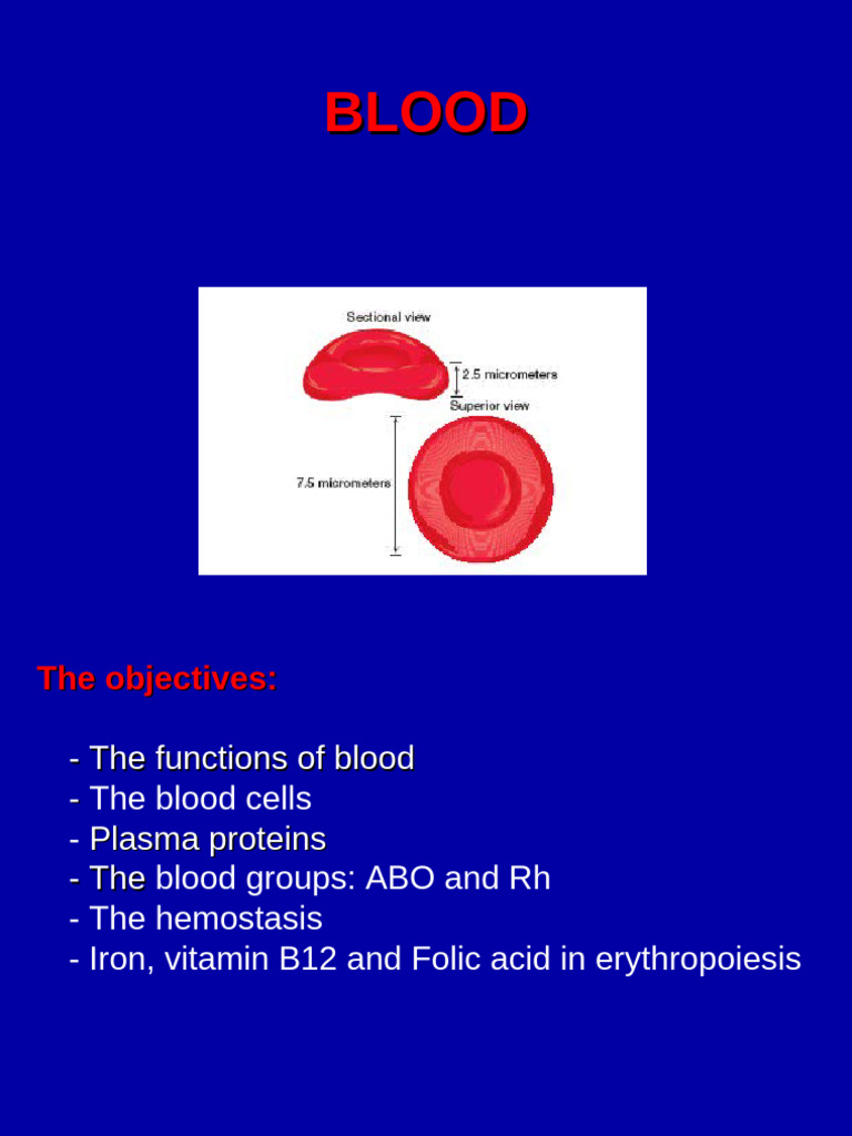 Blood | PDF | Red Blood Cell | Hemoglobin