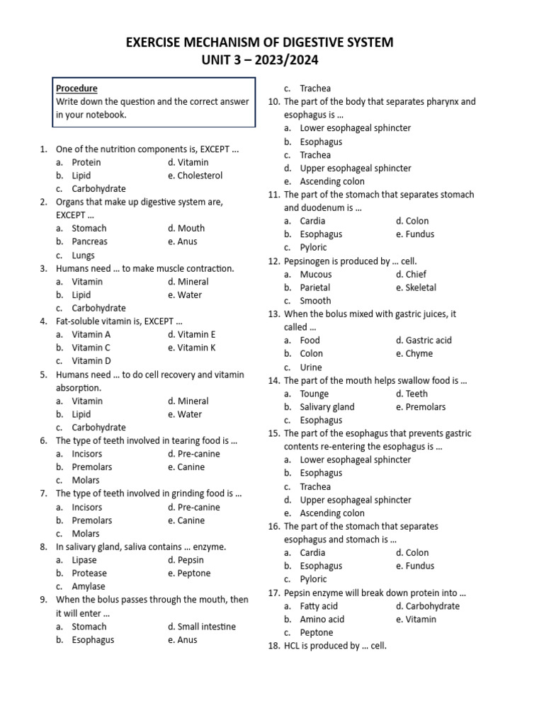 Exercise Mechanism of Digestive System - All | PDF | Stomach | Human ...