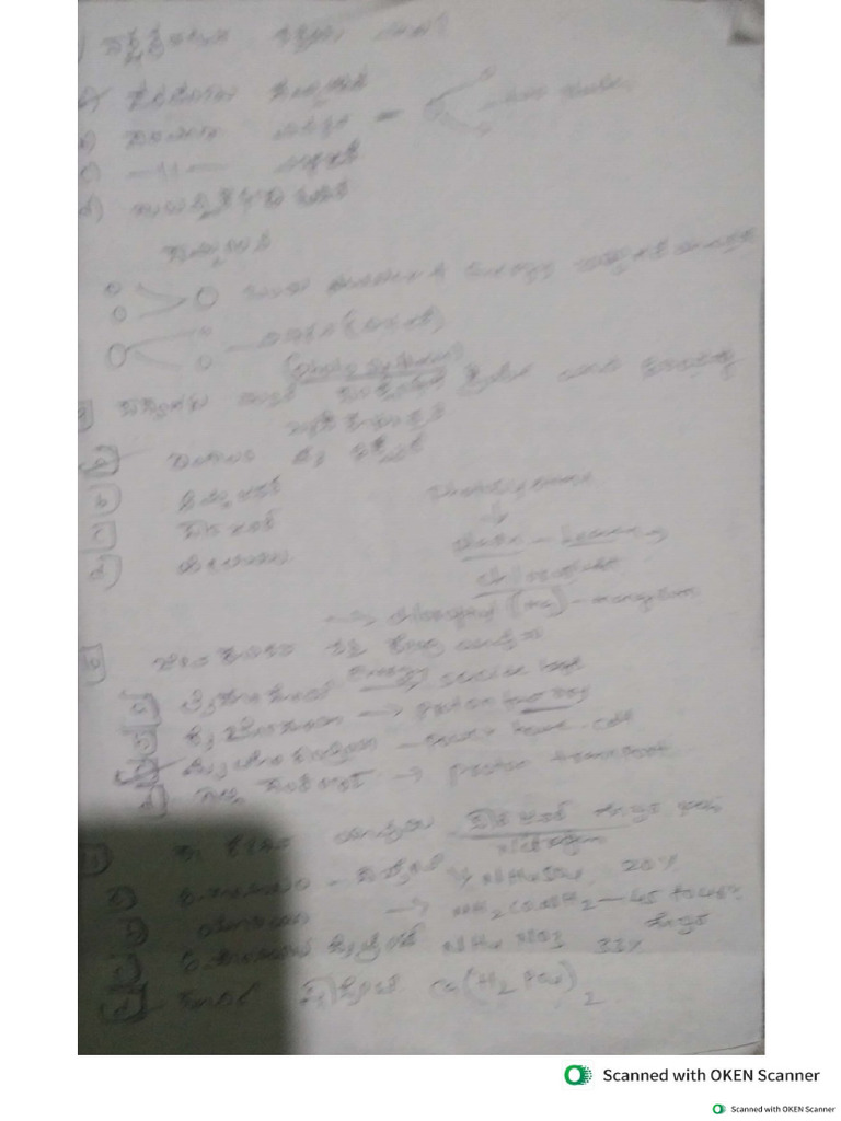 GK Notes - 17-2024 12.14 - 1 | PDF