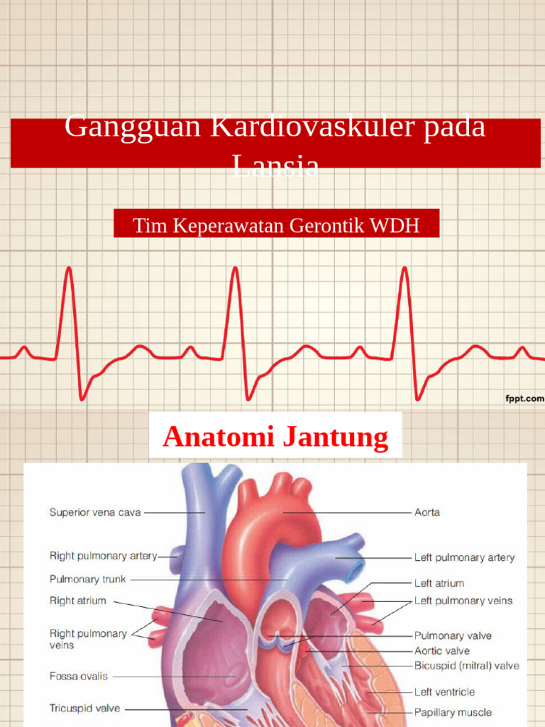 Sistem Kardiovaskuler | PDF