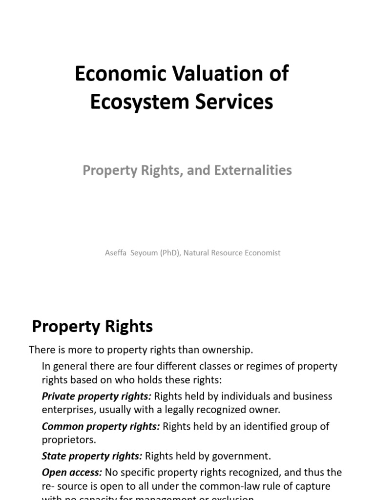 Lecture 3_Property Rights, and Externatilities | PDF | Externality ...
