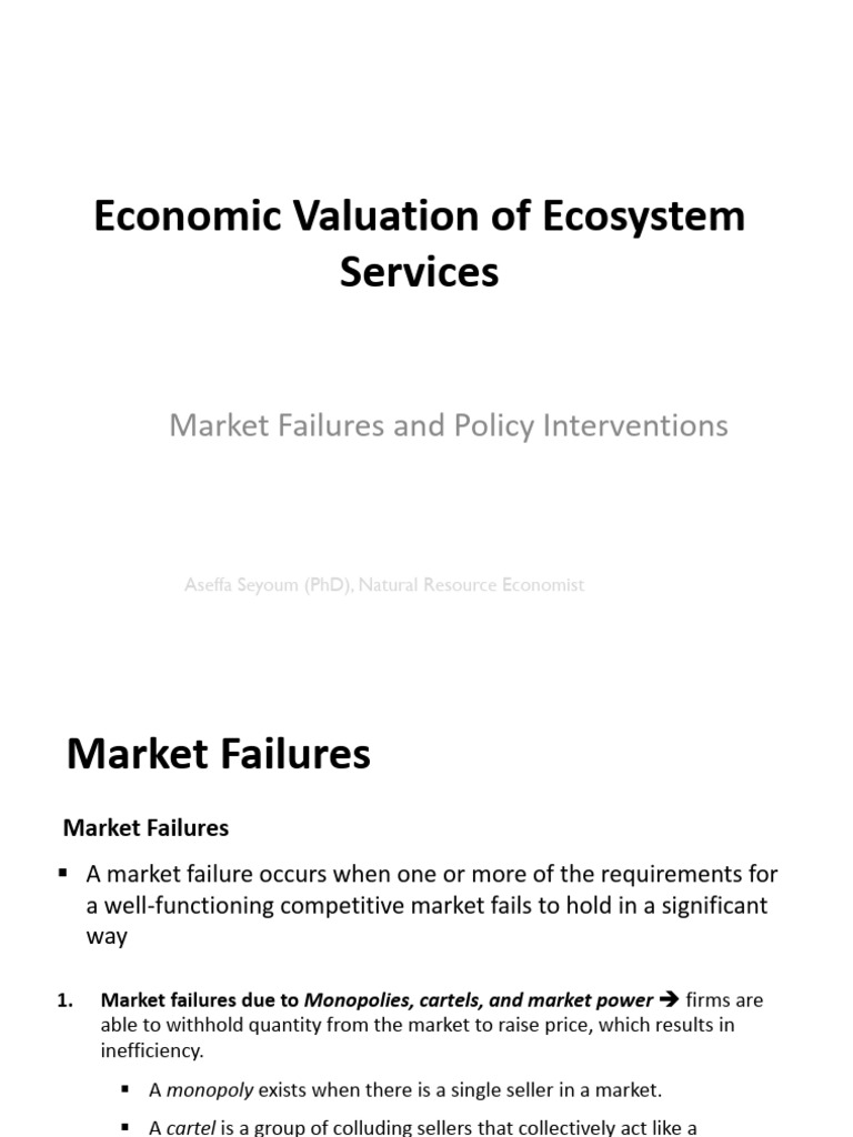 Lecture 4 - Market Failure and Policy Interventions | PDF | Market ...