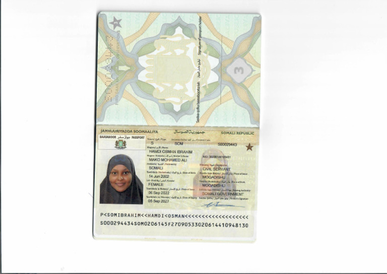 Service Passport by Hamdi O Ibrahim - 240702 - 203304 | PDF